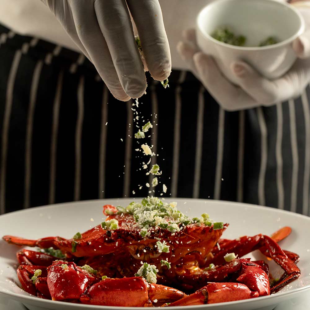 Our Gallery - Aditya Resort