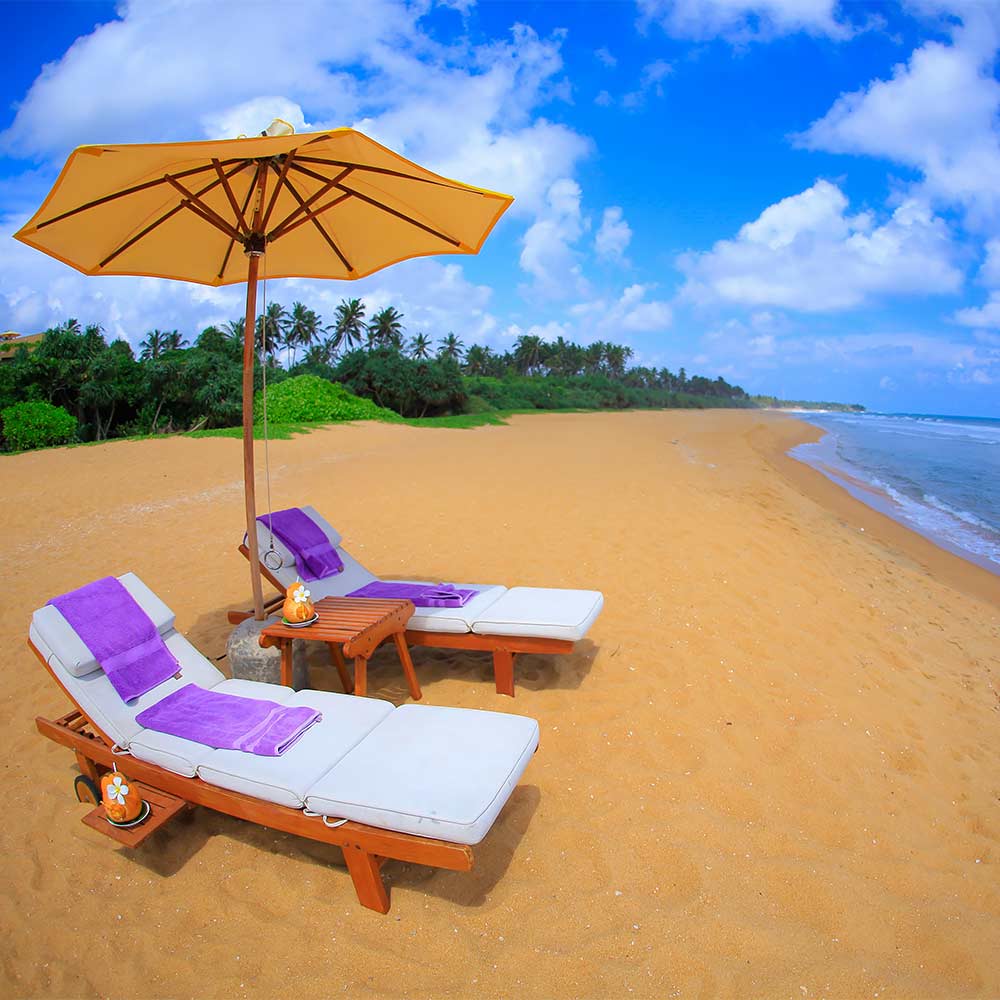 Our Gallery - Aditya Resort