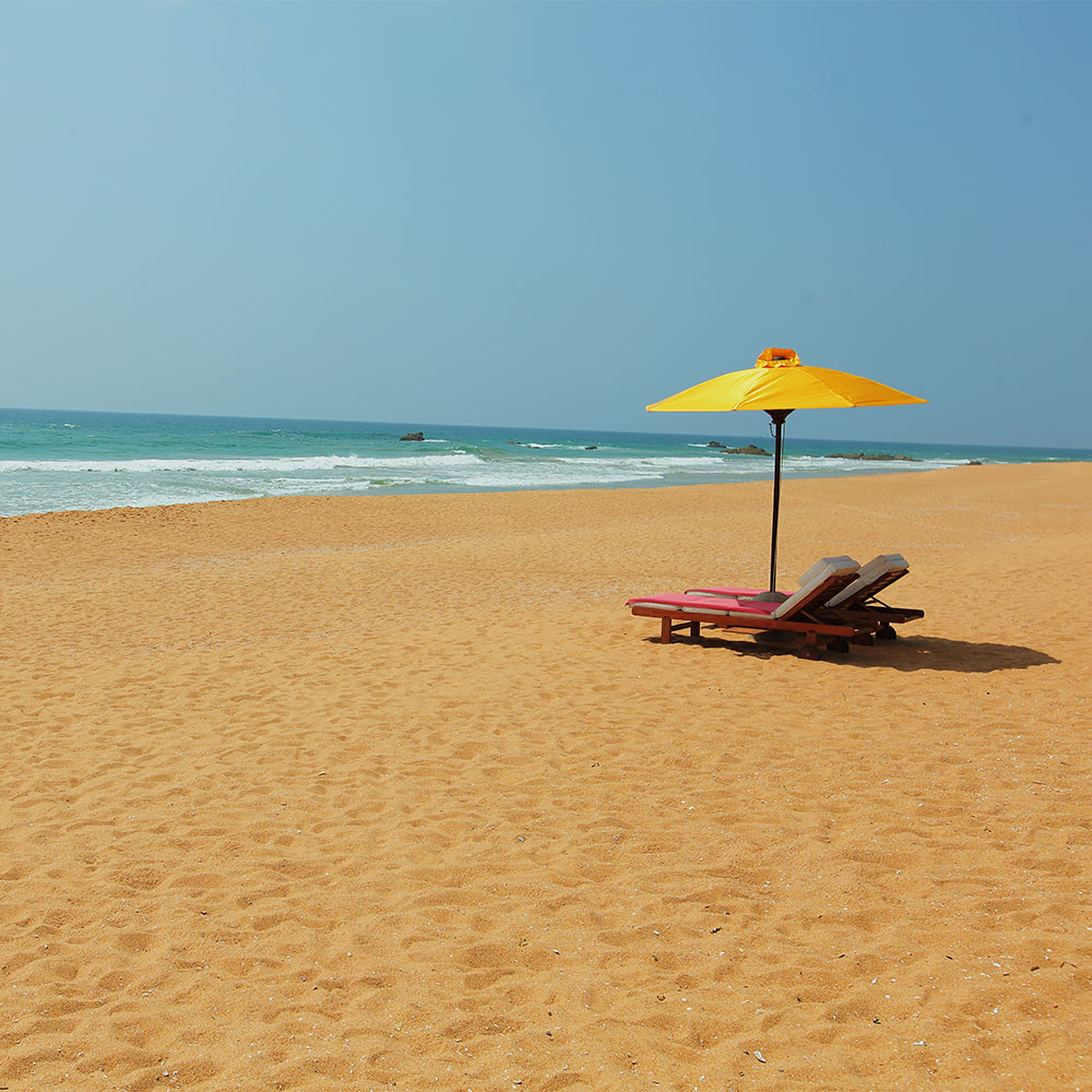 Our Gallery - Aditya Resort