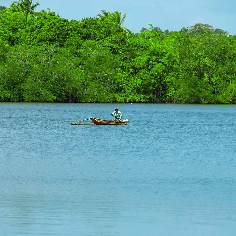 Our Gallery - Aditya Resort