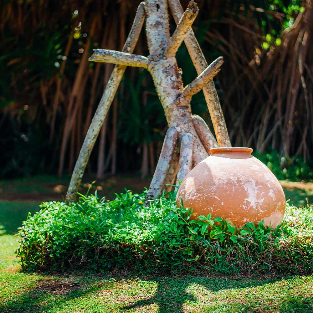 Our Gallery - Aditya Resort